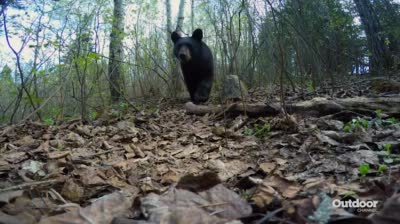Wardens presented by Streamlight | Outdoor Channel